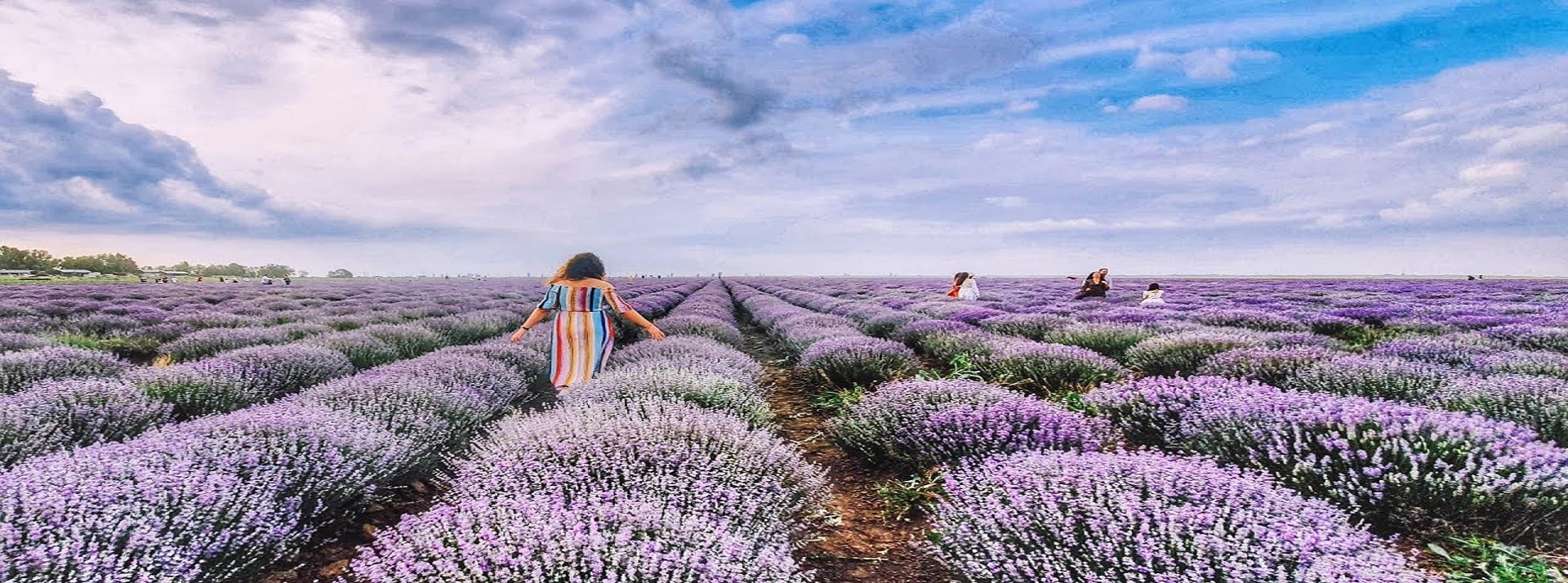 GRADINA CU LAVANDA | Inspirati din propunerile voastre!